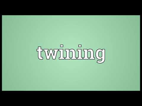 Twining Meaning