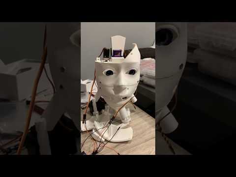 robot eye movements x/y controlled by python