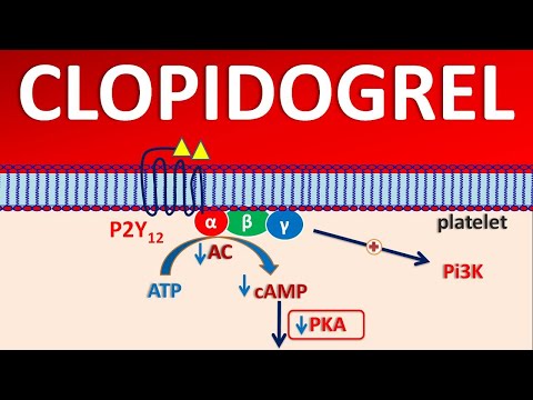 Clopidogrel Bisulphate Tablet - Clopidogrel Bisulphate Latest Price ...