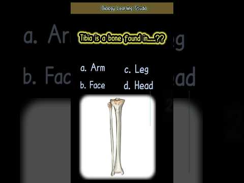 Tibia is a bone found in.? #biology #neet #biotchnology #shortsvideo #shorts #medical #Mcq #study