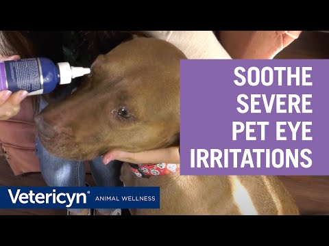 Antimicrobial Ophthalmic Gel relieves severe burning, stinging, and itching in pets' eyes