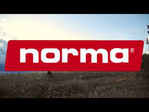 Norma Wingstrike and Claystrike Shotshells - 2024