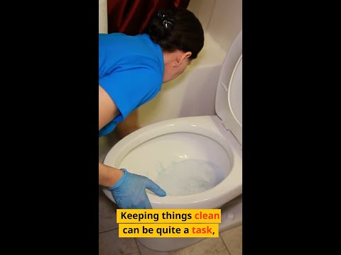 This Maid Service Software Does it All #Procleaningtools #Shorts #Brilion
