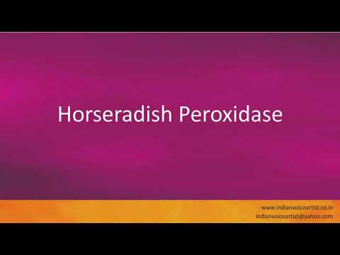 Pronunciation of the word(s) "Horseradish Peroxidase".