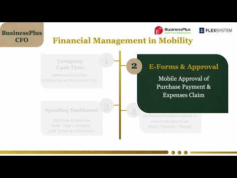 BusinessPlus CFO - Company Cashflow for FlexAccount