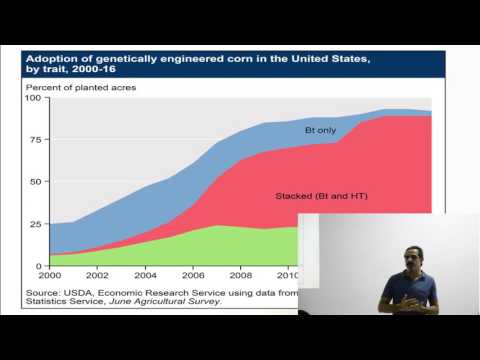 video – Araz Zeyniyev