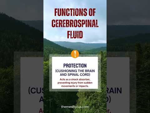 The Vital Roles of Cerebrospinal Fluid (CSF) 💡🧠#neuroscience #brainhealth #medstudent #humanbody