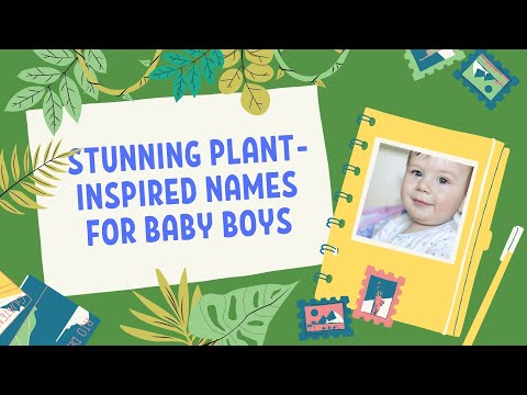 Top 20 Plant Names for Baby Boys (Best Plant-Inspired Names for Baby Boys)