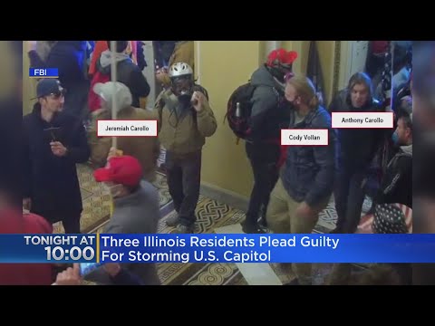 Illinois brothers, cousin admit to role in Capitol riot