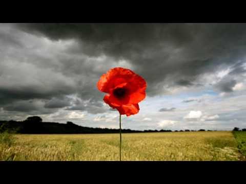 Isaac Rosenberg: Break of Day in the Trenches – davidbruceblog #2