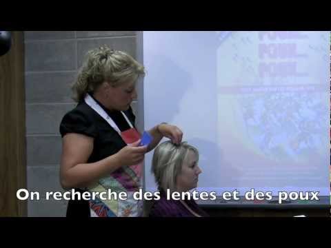 Pediculose août 2012