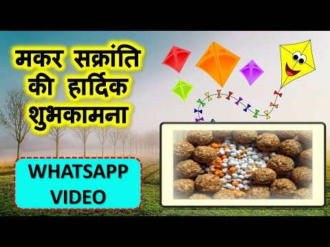 MAKAR SANKRANTI VIDEO DOWNLOAD, MAKAR SANKRANTI IMAGES, HAPPY MAKAR SANKRANTI 2024
