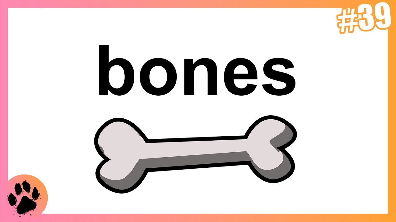A Bit About: Bones