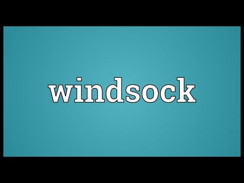 Windsock Meaning