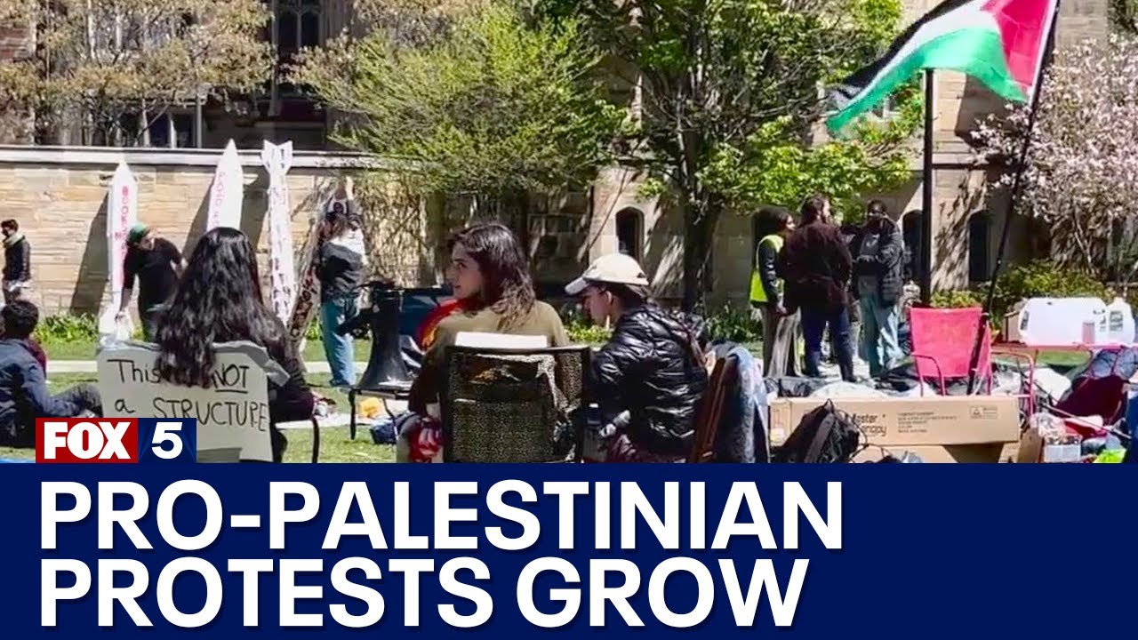 Pro-Palestinian protests across US | FOX 5 News