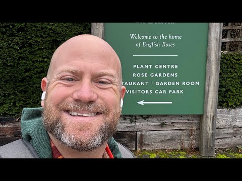 A walk around the @david_austin_roses show gardens 2/11/24