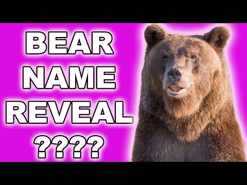 Bear Names Revealed!!!