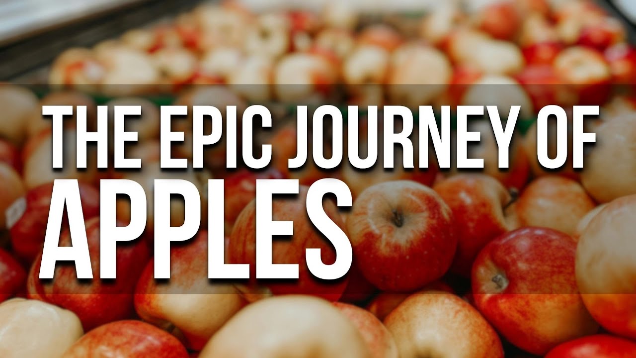 The Epic Journey of Apples