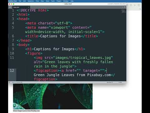 Using Figure and Figcaption