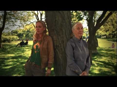 Jane Goodall's 'Reasons for Hope' DVD, Premiere @Weltcafe Wien 16th June 2011