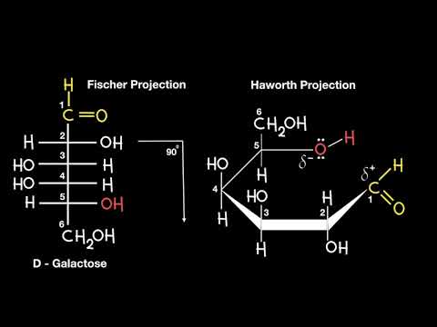 Fischer to Haworth Projection