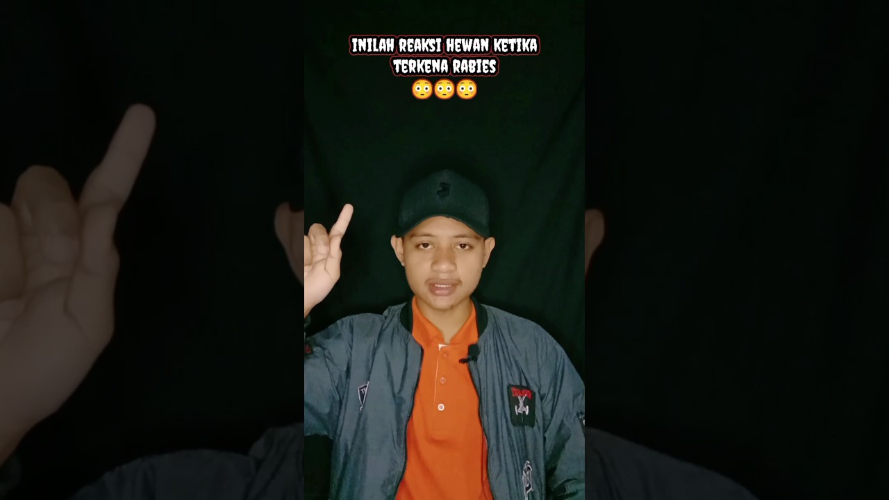 REAKSI HEWAN KETIKA TERKENA RABIES #shorts