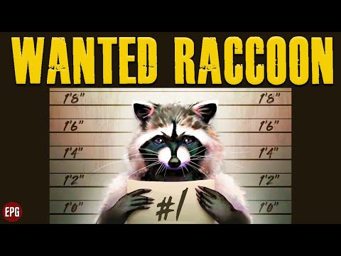 Steam Community :: Wanted Raccoon
