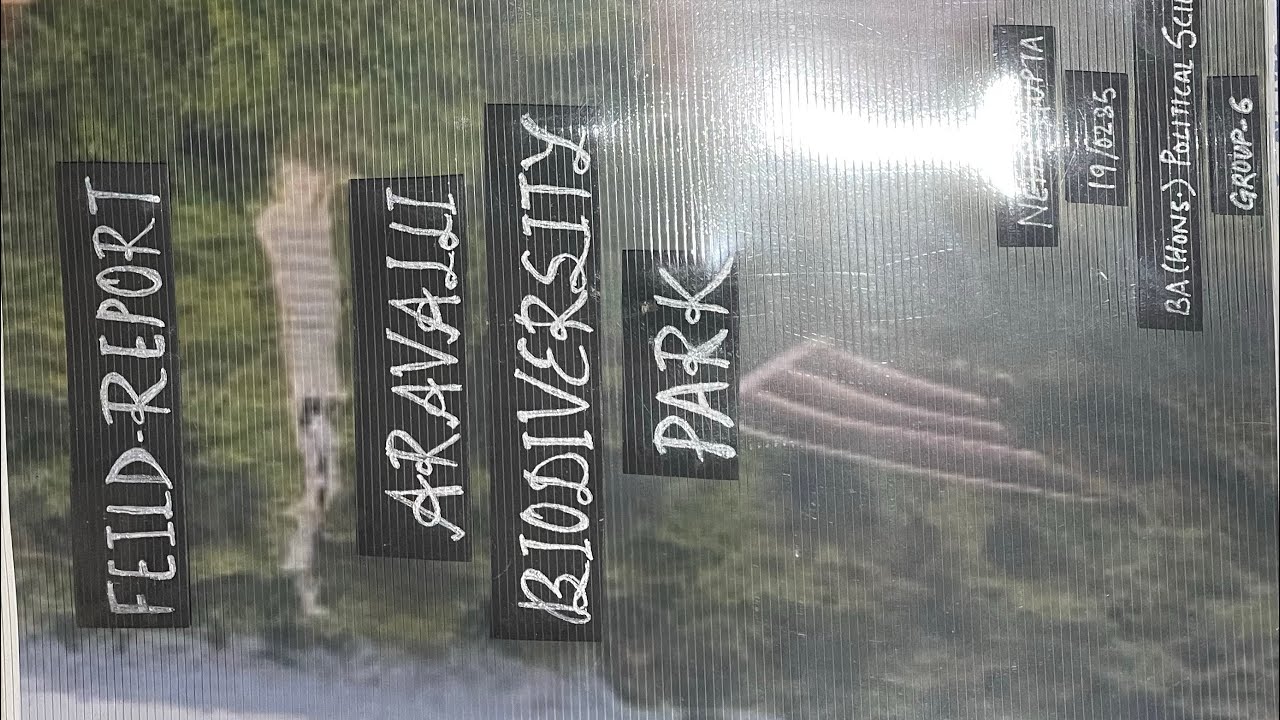 Creating an Effective EVS Project File: A Guide for Delhi University ...