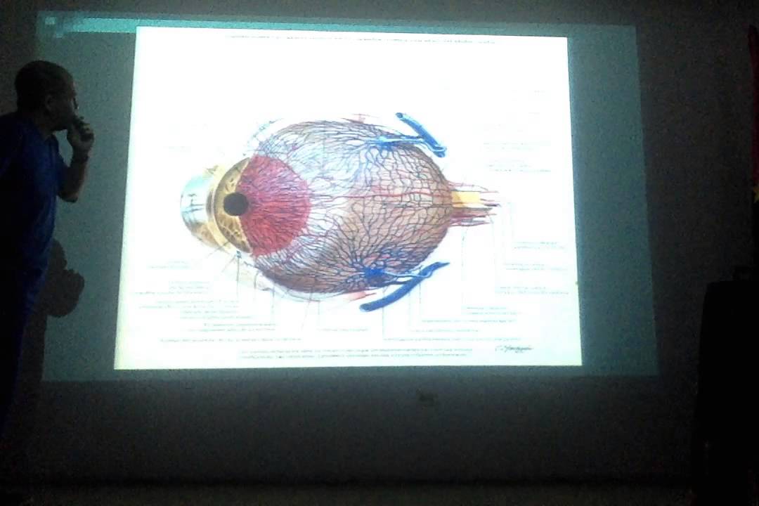 GLOBO OCULAR