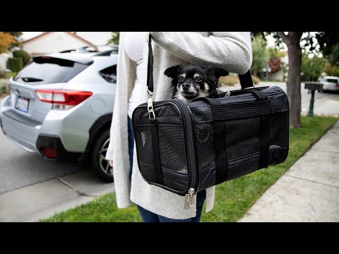 A Detailed Review of the Sherpa Cat Carrier