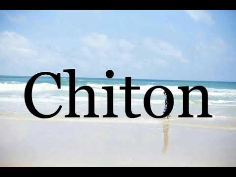 How To Pronounce Chiton🌈🌈🌈🌈🌈🌈Pronunciation Of Chiton