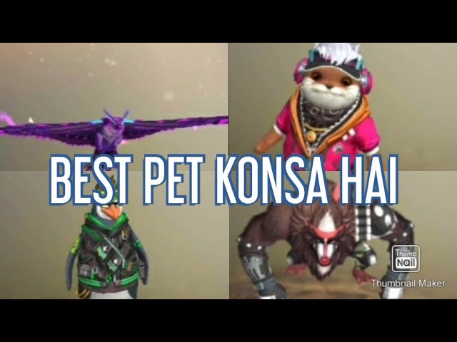 Top 7 Free Fire tips to pick the best pets for combat