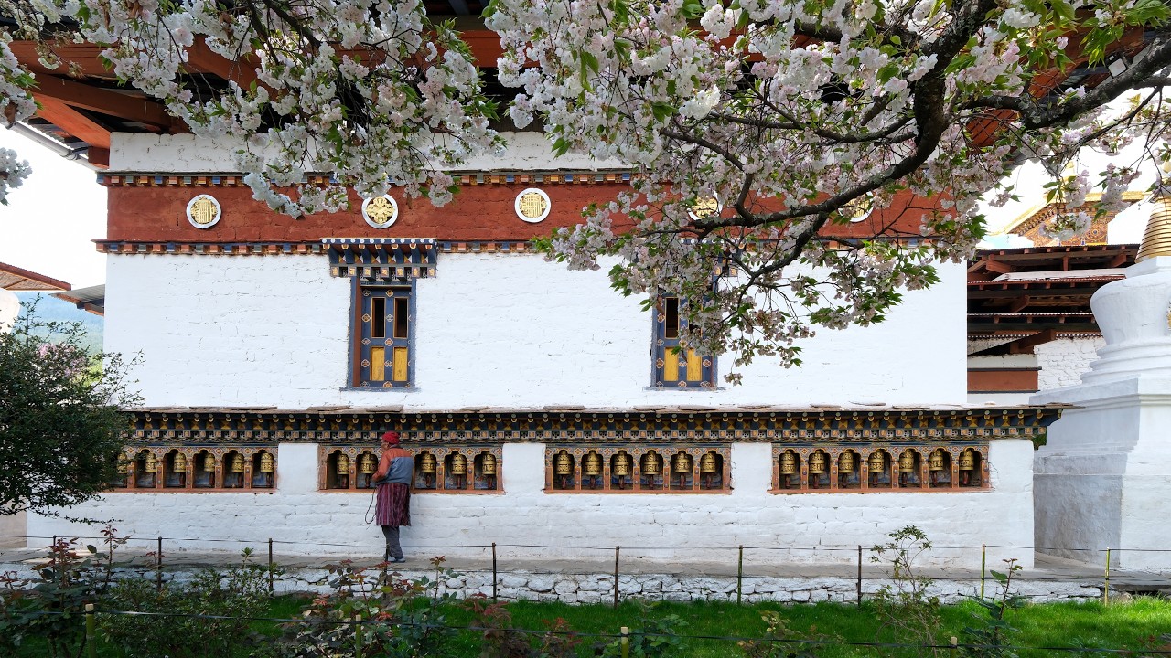Kyichu Lhakhang In Spring