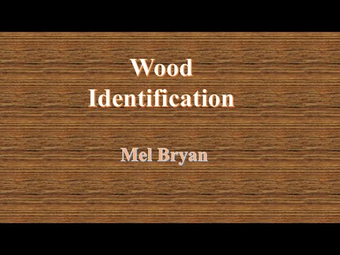 Wood Identification