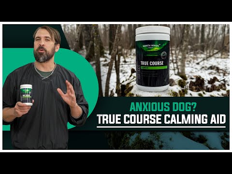 Anxious Dog? Try the North Winds Premium Calming Aid