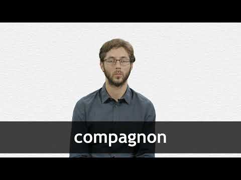English Translation of “COMPAGNON” | Collins French-English Dictionary