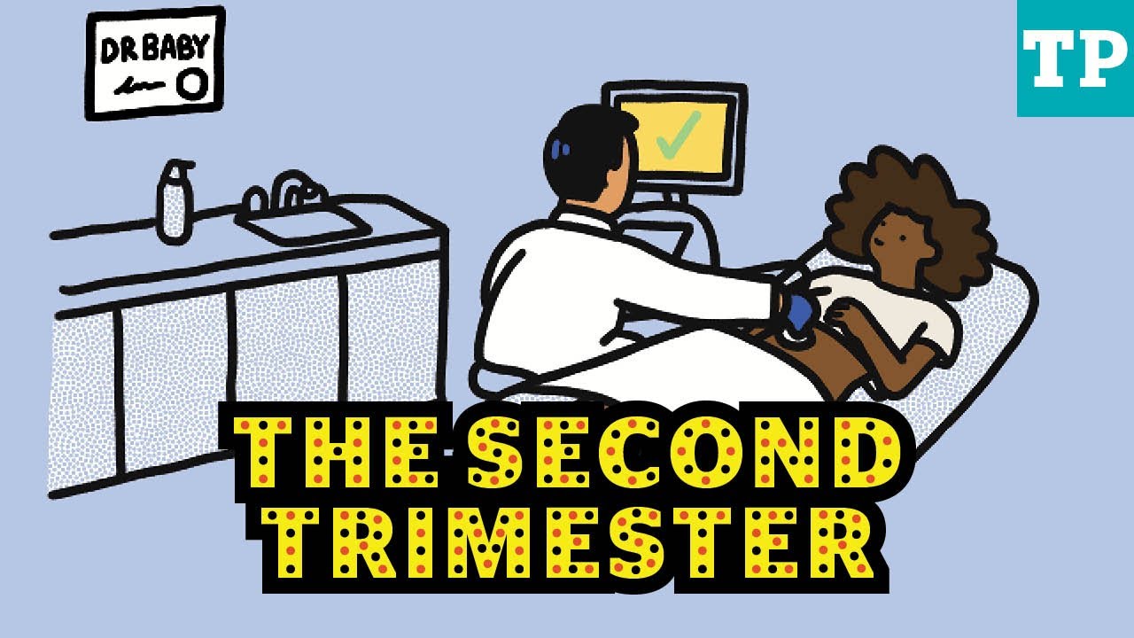 What to expect in your Second Trimester of pregnancy | Pregnancy Week-by-Week