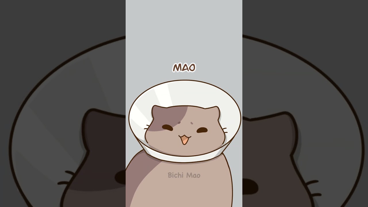 Little Mao Challenge Ep03 (3/3)