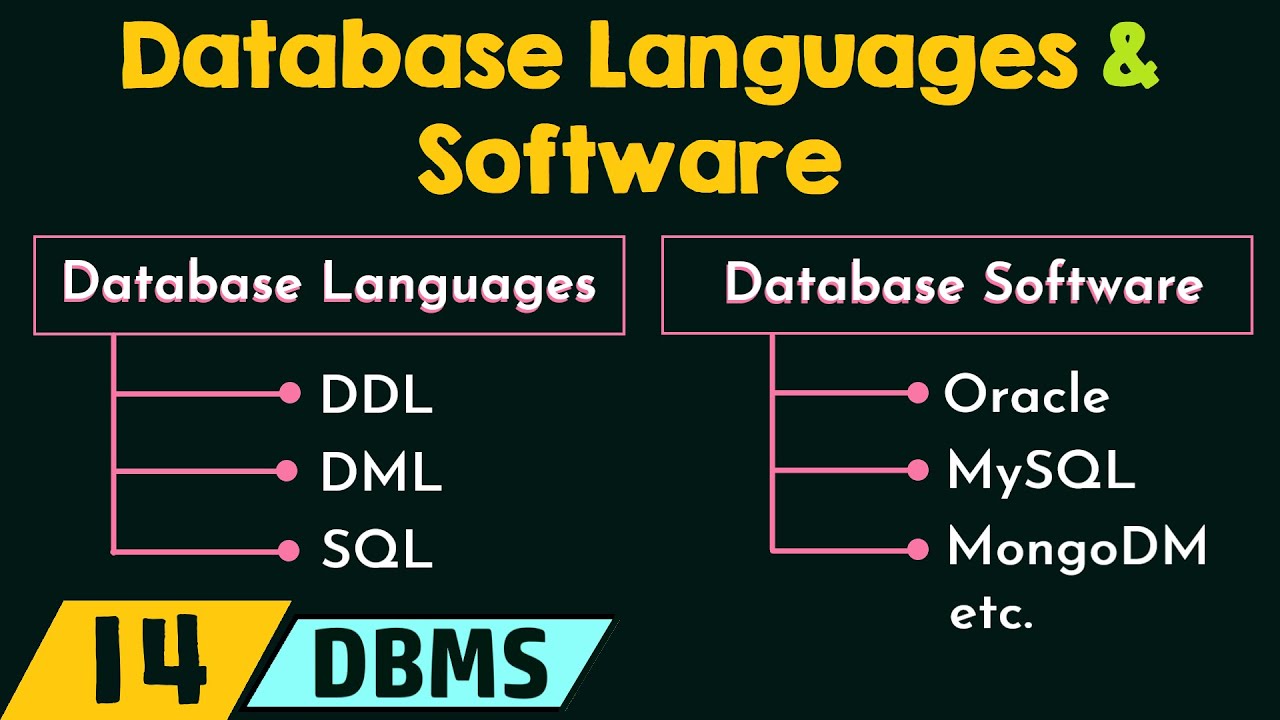 Database Languages and Software