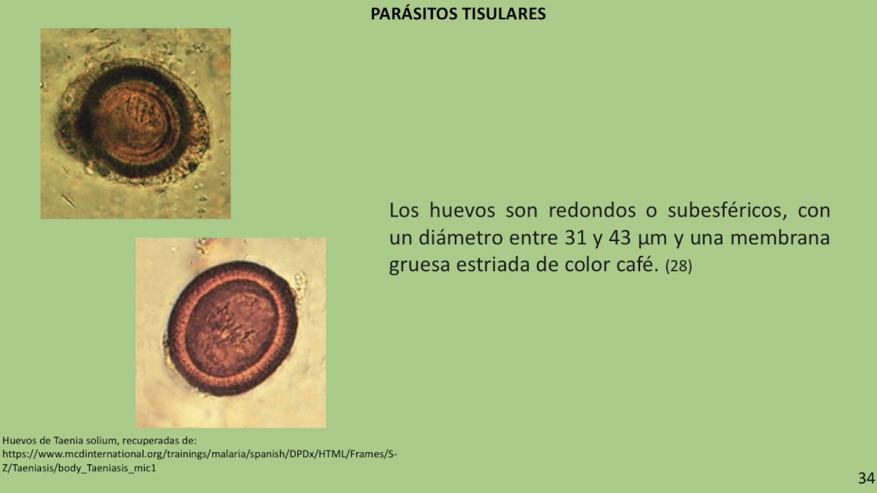 ATLAS PARASITOLOGÍA MÉDICA