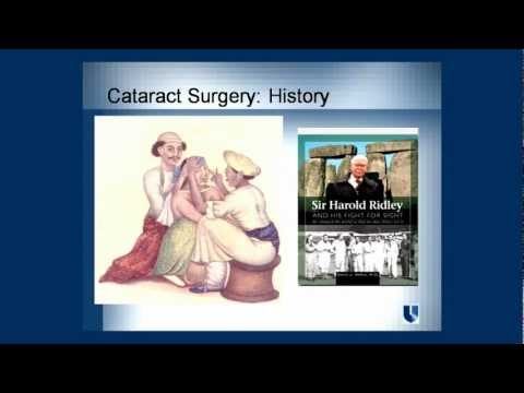 Healthy Focus Seminar: Optimizing Ocular Health and Vision