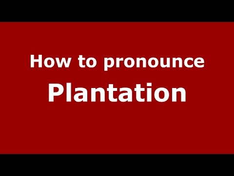 How to pronounce Plantation (American English/US) - PronounceNames.com
