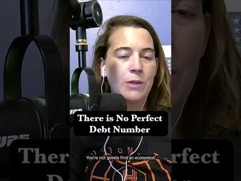 There is No Perfect Debt Number