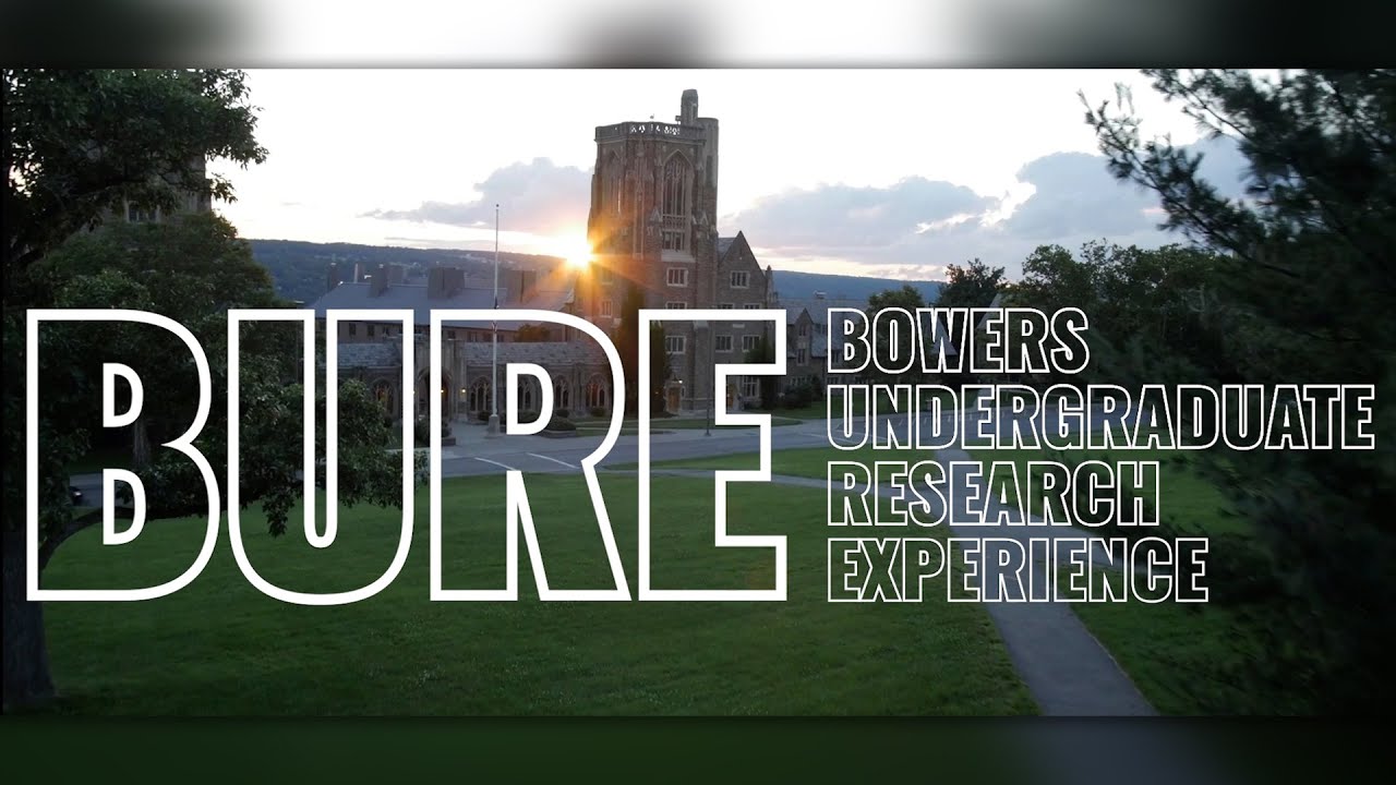 Bowers Undergraduate Research Experience offers a taste of research life