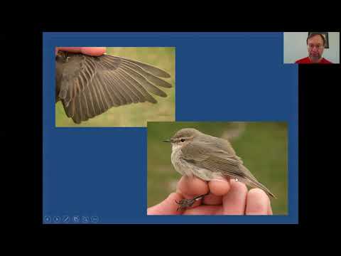 Mini-Tutorial: Bird Topography
