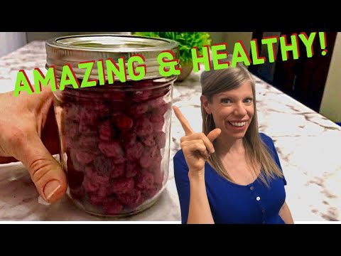 HOMEMADE CRAISINS and WHY You Should Make Your Own!