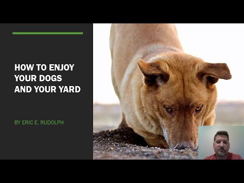 No Dig Fence: Reclaim Yard from Dogs