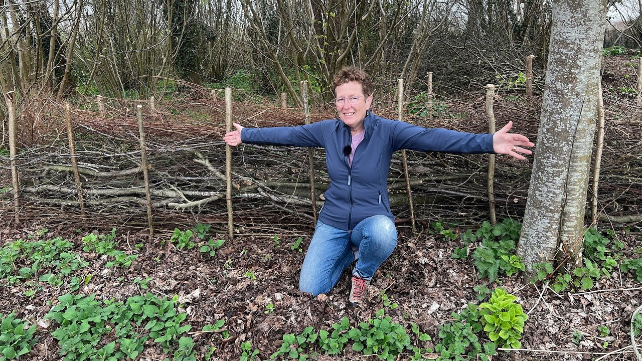 Turn Garden Waste Into Wildlife Habitat: Build Dead Hedges for Structure in Your Garden