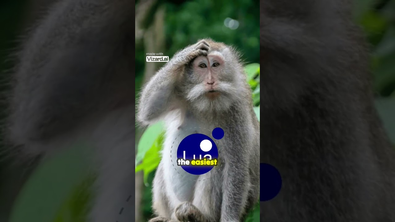 Unlocking Creativity with Lua Scripting