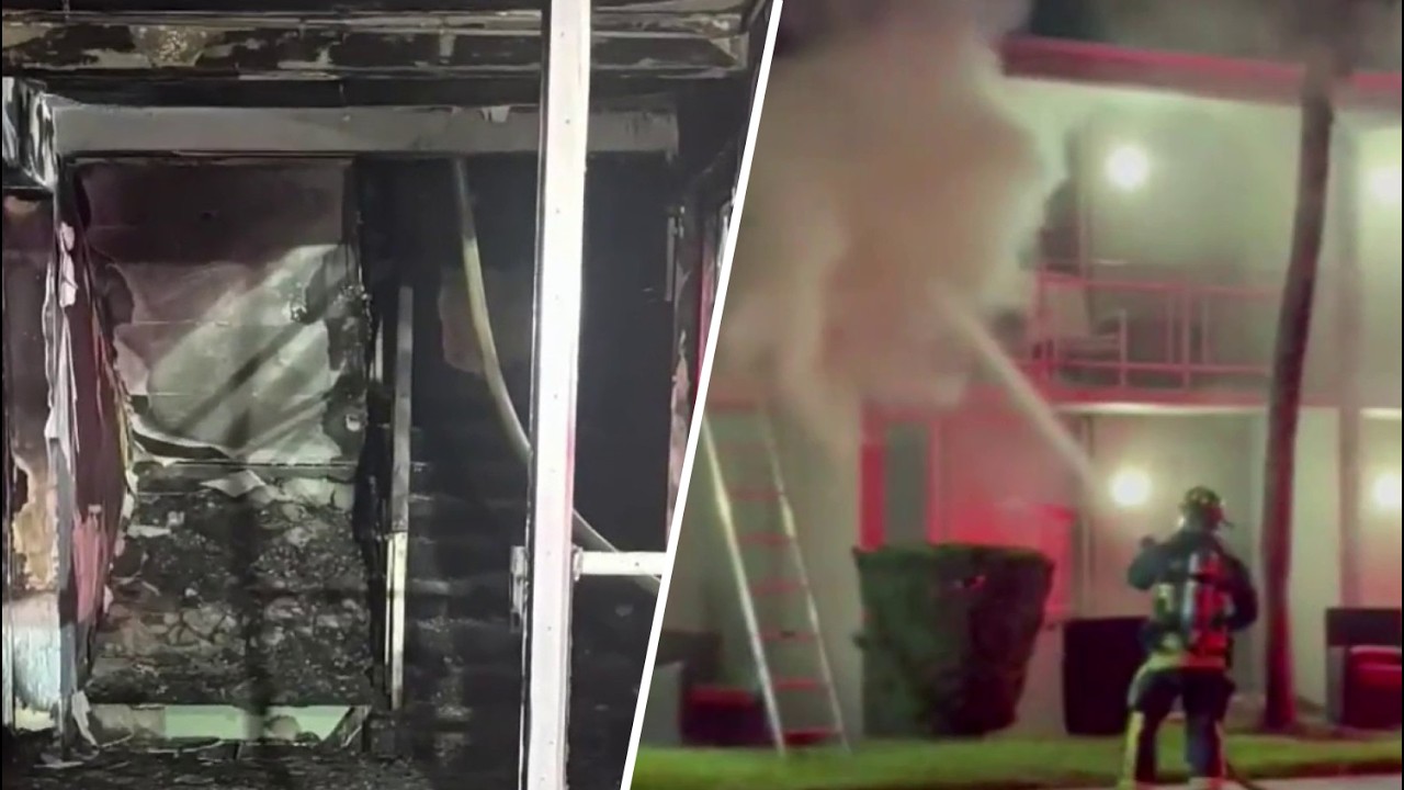 EN VIVO: Noticiero Telemundo 51 Miami | 3 de abril de 2026